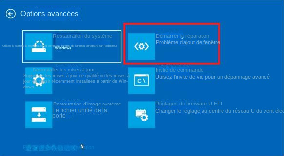 Comment réparer winload.exe manquant ou endommagé sous Windows 10 ? - Rene.E Laboratory