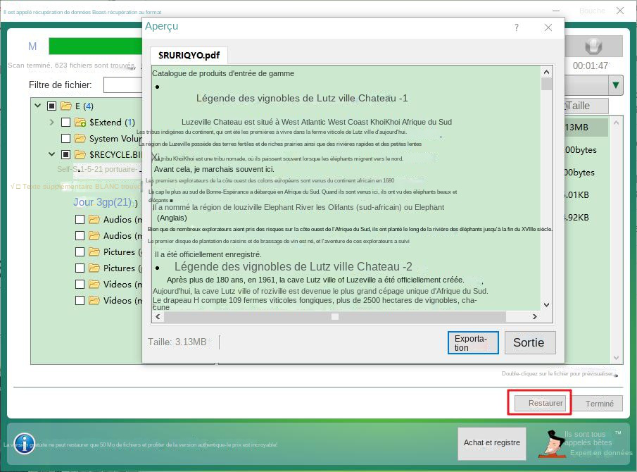 Comment récupérer un fichier PDF supprimé de manière facile ? - Rene.E ...