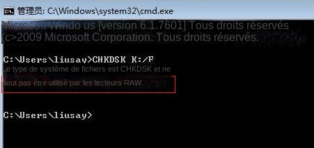 Comment réparer "Chkdsk n'est pas disponible pour les lecteurs RAW" ? - Rene.E Laboratory