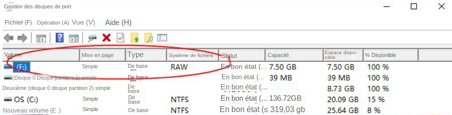Comment réparer "Chkdsk n'est pas disponible pour les lecteurs RAW" ? - Rene.E Laboratory
