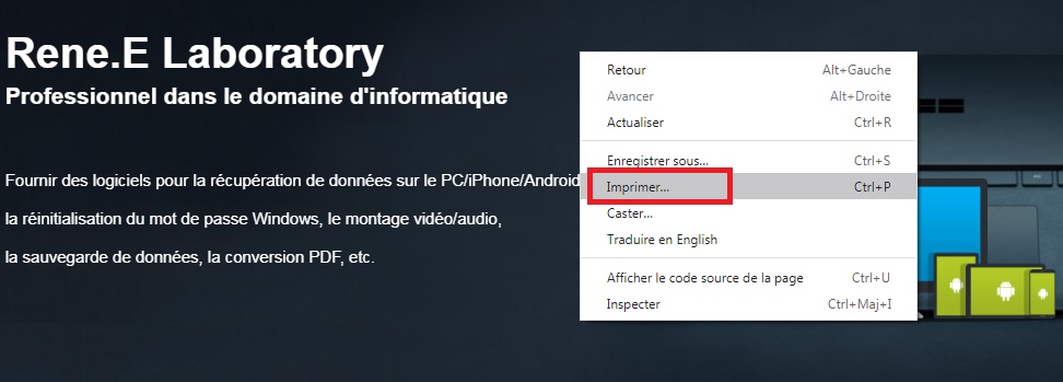 Comment convertir une page Web en PDF ? – Rene.E Laboratory Support Center